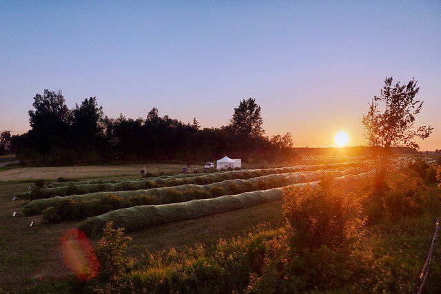 Camerise du Richelieu SENC - Tourisme Vallée-du-Richelieu
