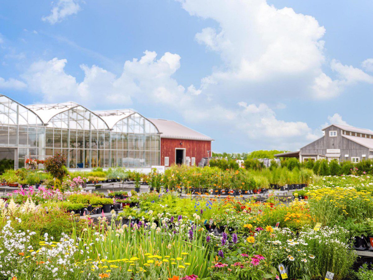 La Ferme Guyon - Tourisme Vallée-du-Richelieu